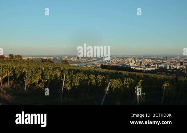 Panoramic view of sunlit vineyard hills in Vienna. City and Danube ...