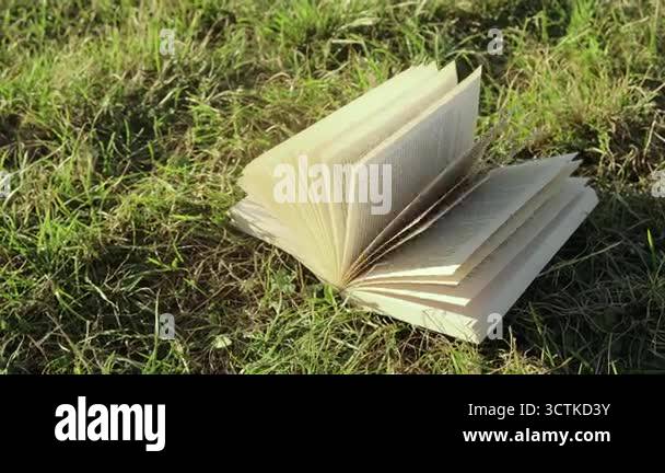 An open book rests on the grass as wind gently turns its pages in sunlight. Hypnotic and ...