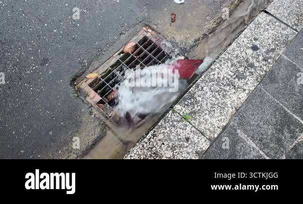 Down a street gutter, a powerful flow of stormwater carries leaves and ...