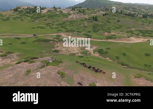 Black suv navigating winding dirt road through lush green mountain ...