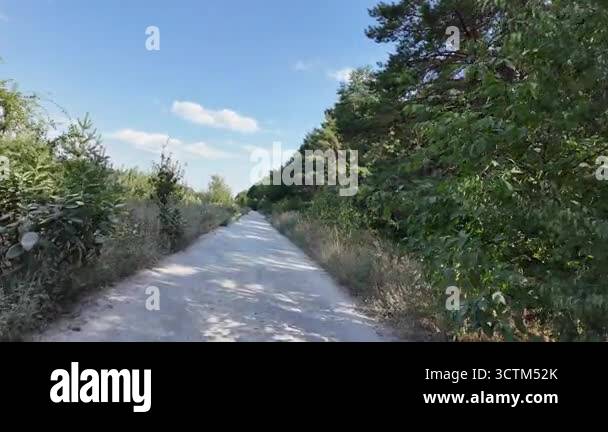 Long narrow dirt track example. beautiful landscape with the road ...