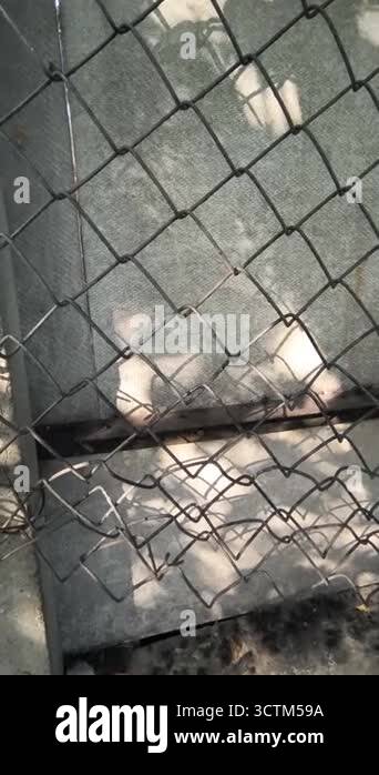 wire fence. chain link mesh. rusty iron fence. old rusty cage. symbol ...
