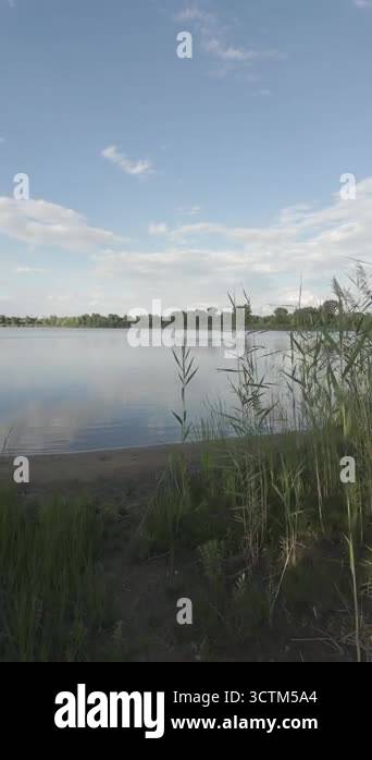 natural landscape on the water shore. lake shore. reflection of clouds ...