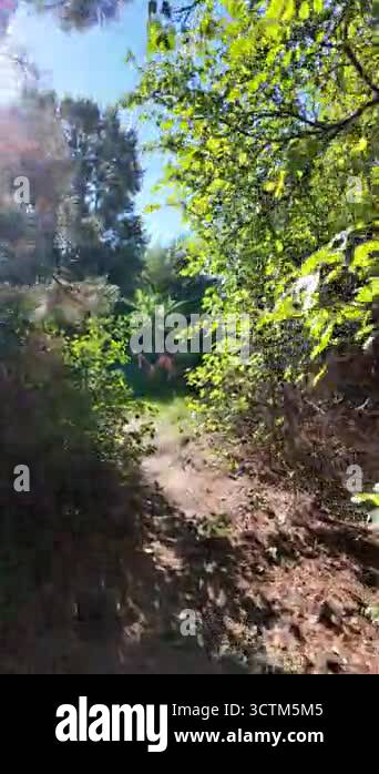 narrow path. walk along the path. vertical video 4k 60 frames. Autumn ...