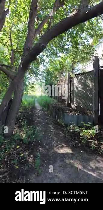 narrow path. walk along the path. vertical video 4k 60 frames. Autumn ...
