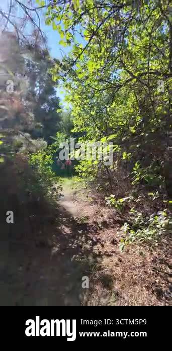 narrow path. walk along the path. vertical video 4k 60 frames. Autumn ...