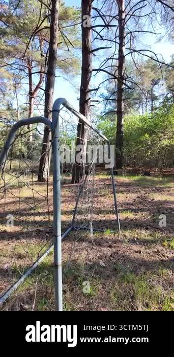 amateur football. football field in the forest. homemade football goals ...