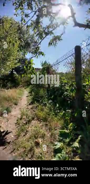 nature walk. 4k video 60 fps. wide angle. narrow path. nature ...