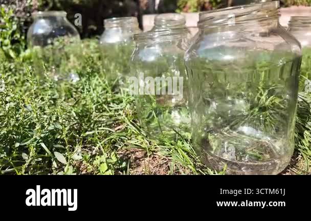glass jars for canning. Empty glass jars arranged in rows for home ...