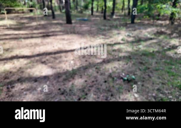 pine cones in hand. man throwing pine cones. slow motion video 4k. Deft ...