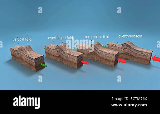 Fold types chart Stock Videos & Footage - HD and 4K Video Clips - Alamy