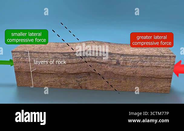 Fold anatomy Stock Videos & Footage - HD and 4K Video Clips - Alamy