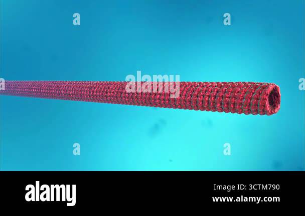 3D animation of Tobacco Mosaic Virus showing helical structure, plant ...