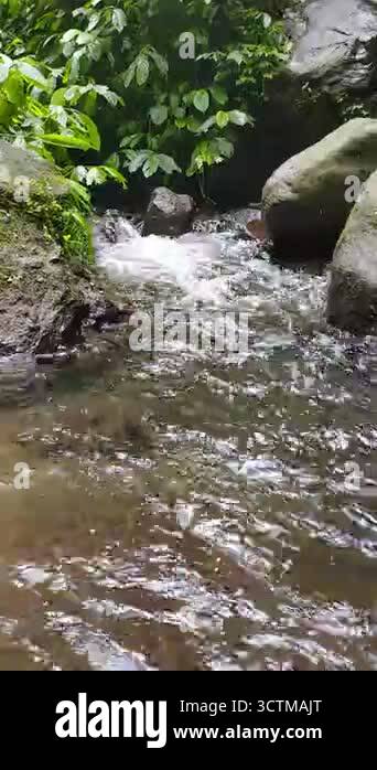 Gurgling stream flowing through rocks Stock Videos & Footage - HD and ...