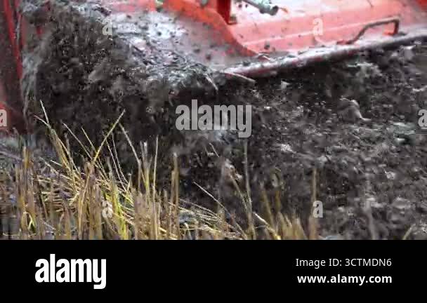 Tractor plowing muddy rice field, close-up, mud in the paddy, showing ...