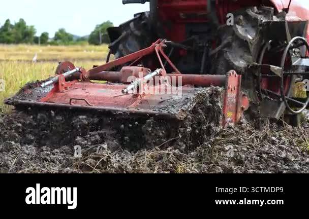 Tractor plowing muddy rice field, mud in the paddy, showing soil ...