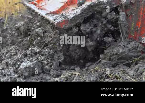 Tractor plowing muddy rice field, close-up, mud in the paddy, showing ...