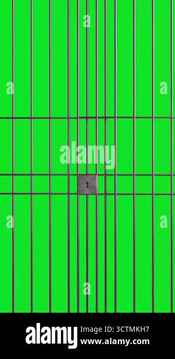 4k Resolution Vertical Video for Social Media: Security Concept. Black ...