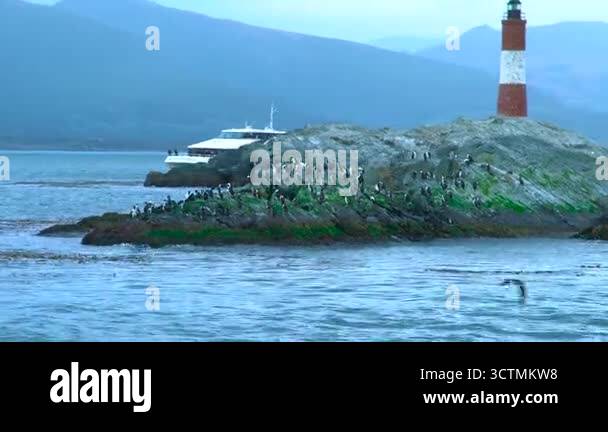 Aerial view of Les Eclaireurs Lighthouse and rocky island covered in ...