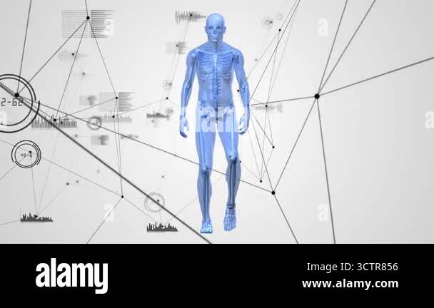 Animation of network of connections and data processing over human body ...