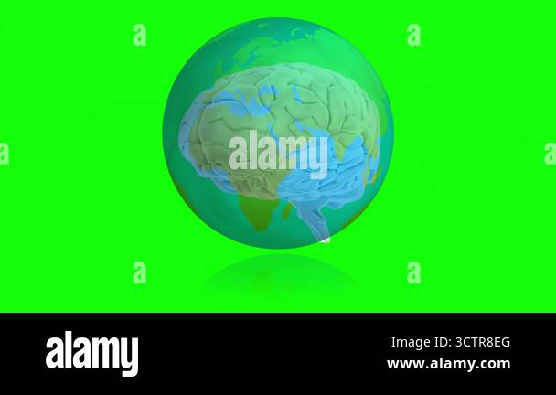 Starting with brain-textured globe hanging on green screen, rotating ...
