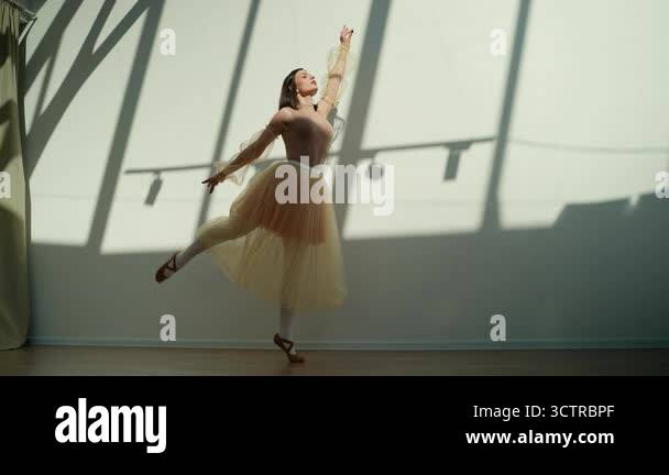 Elegant ballerina in a flowing tulle skirt dancing gracefully in a ...