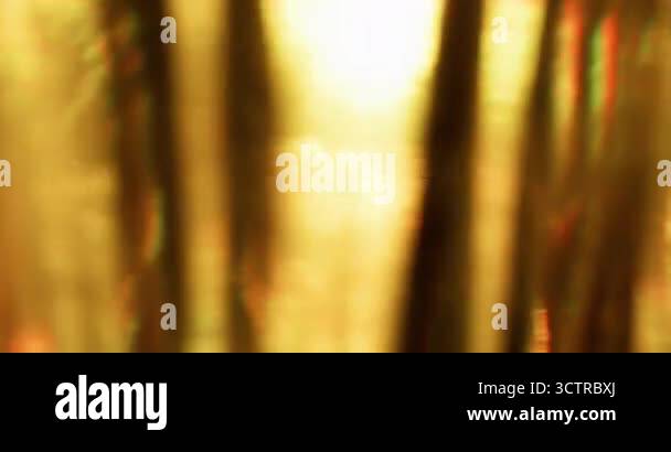 Defocused film. Shiny golden background. Bright yellow color glare ...