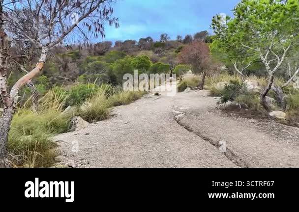 Rugged pathway winds through Stock Videos & Footage - HD and 4K Video ...