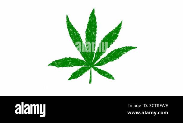 Hand-drawn animation of a medical marijuana leaf Stock Video Footage ...