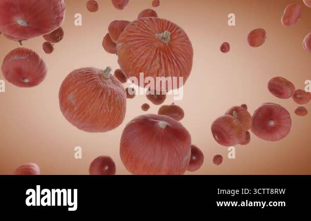 Falling pumpkins animation on soft gradient background, Halloween and ...