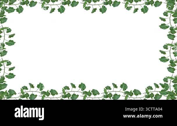 Landscape format blank frame with plants arrangement 2d looped animated ...