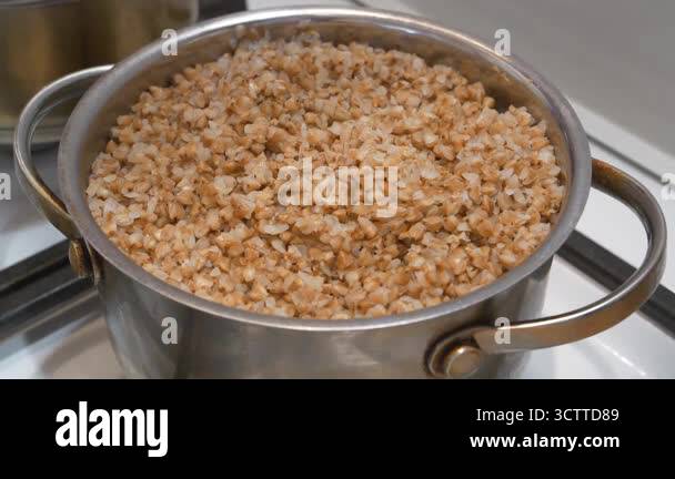 Pot of buckwheat porridge is on gas stove. Boiled buckwheat, kasha ...