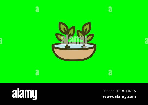 Green sprouts in round pot animation, minimal flat design gardening ...