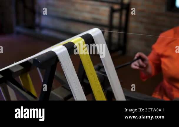Cinematic video of silkworms hatching, feeding on mulberry leaves ...