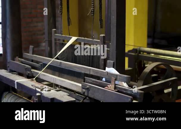 Cinematic video of silkworms hatching, feeding on mulberry leaves ...