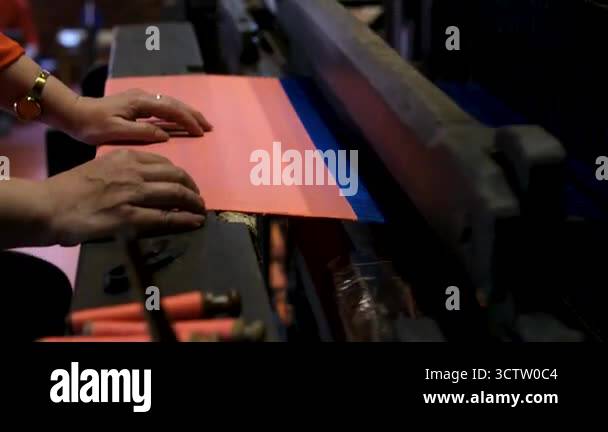 Cinematic video of silkworms hatching, feeding on mulberry leaves ...