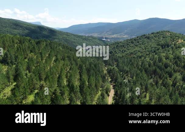 Scenic view vast forest Stock Videos & Footage - HD and 4K Video Clips ...