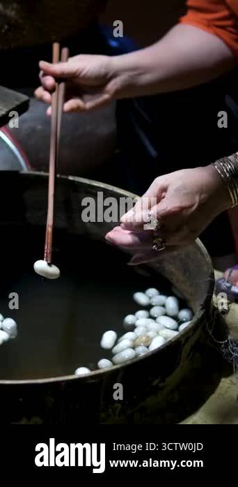 yellow silk cocoons being unraveled into fine silk threads from hot ...