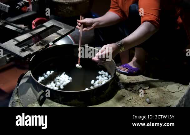 From silkworm eggs to cocoons, the full silk-making process includes ...