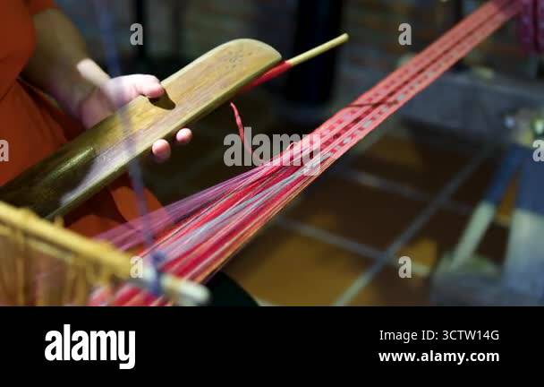 From silkworm eggs to cocoons, the full silk-making process includes ...