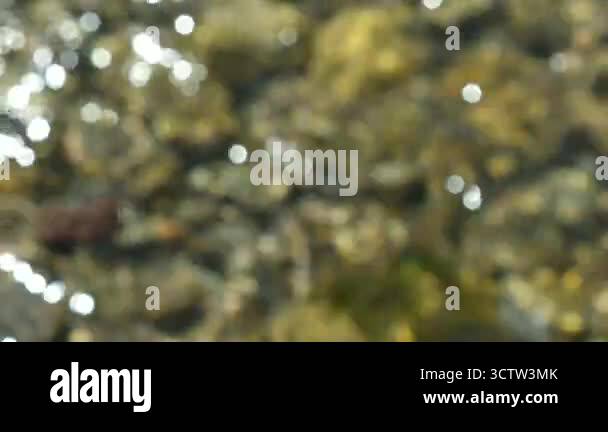 Abstract Blurred Brown Natural Background, River Stones Underwater ...