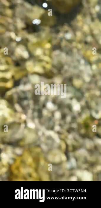 Abstract Blurred Brown Natural Background, River Stones Underwater ...