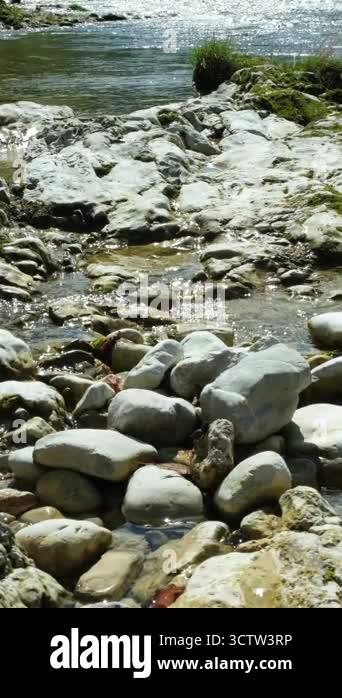 Tranquil Flowing Water of River, Slow Motion Natural Vertical ...