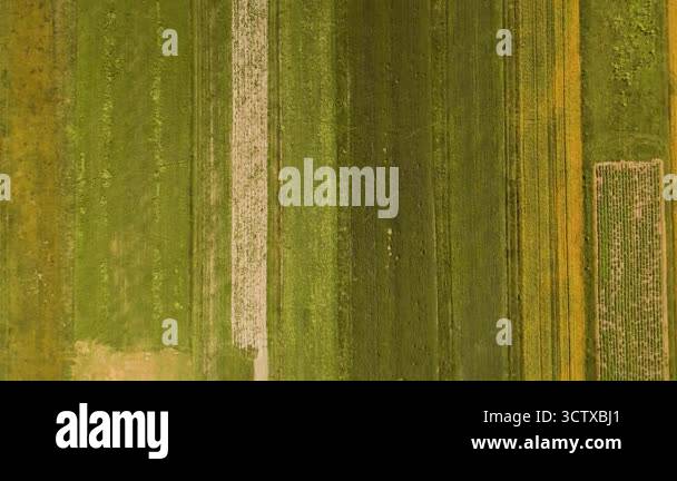 Aerial drone footage captured directly from above, showing vibrant ...