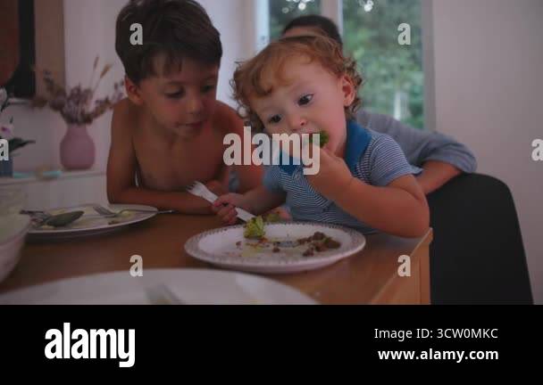 Toddler eating broccoli at dining table while older brother watches ...