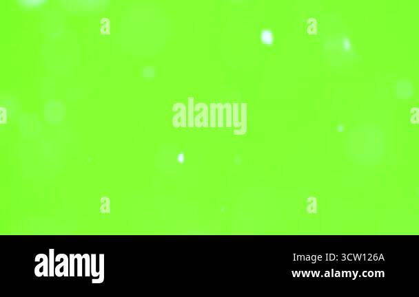 Real snow falling on a green screen background, creating a calm and ...