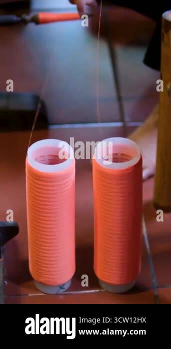 From silkworm eggs to cocoons, the full silk-making process includes ...