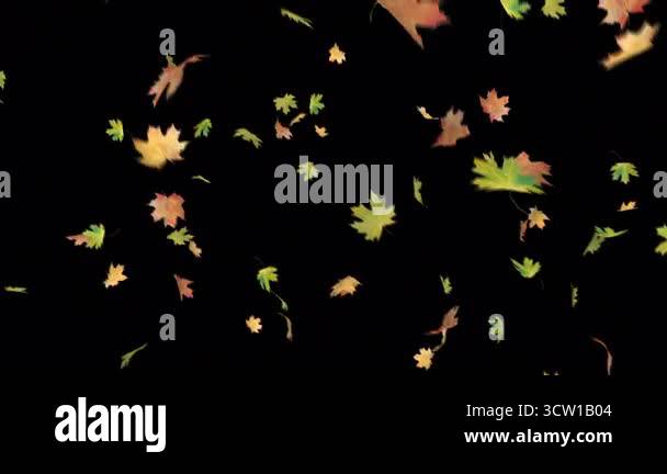 Autumn background with falling leaves. Seamless looping animation Stock ...