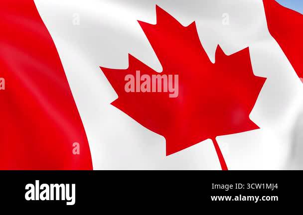 Photo realistic slow motion 4KHD flag of the Canada waving in the wind ...