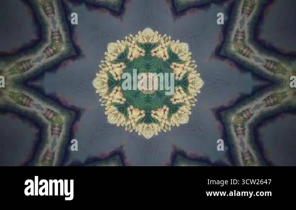 Mesmerizing tunnel video loop features vibrant flowers forming a floral ...